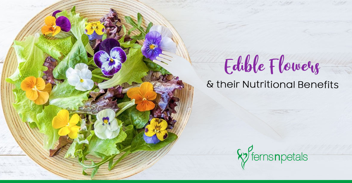 Edible Flowers And Their Health Benefits at Ryan Brooks blog