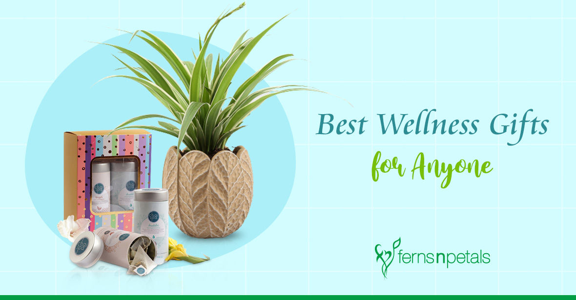 Top 7 Best Wellness Gifts Ideas for Anyone