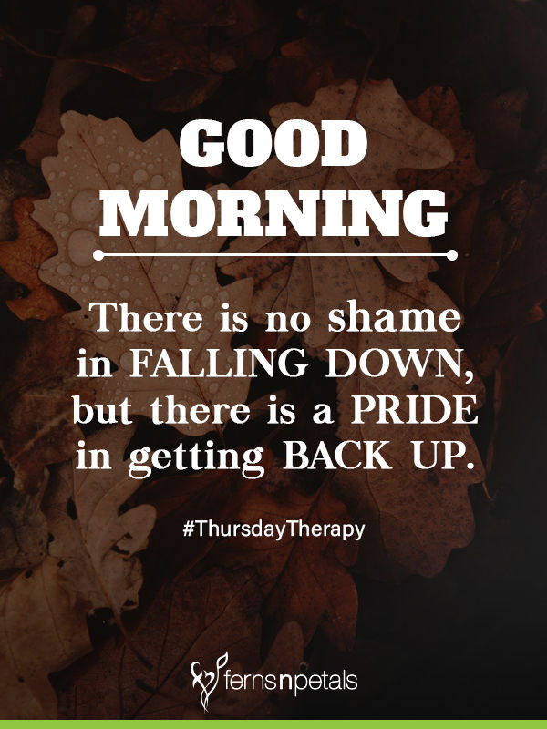 30+ Good Morning Quotes, Wishes, Messages Images 2019 - Ferns N Petals