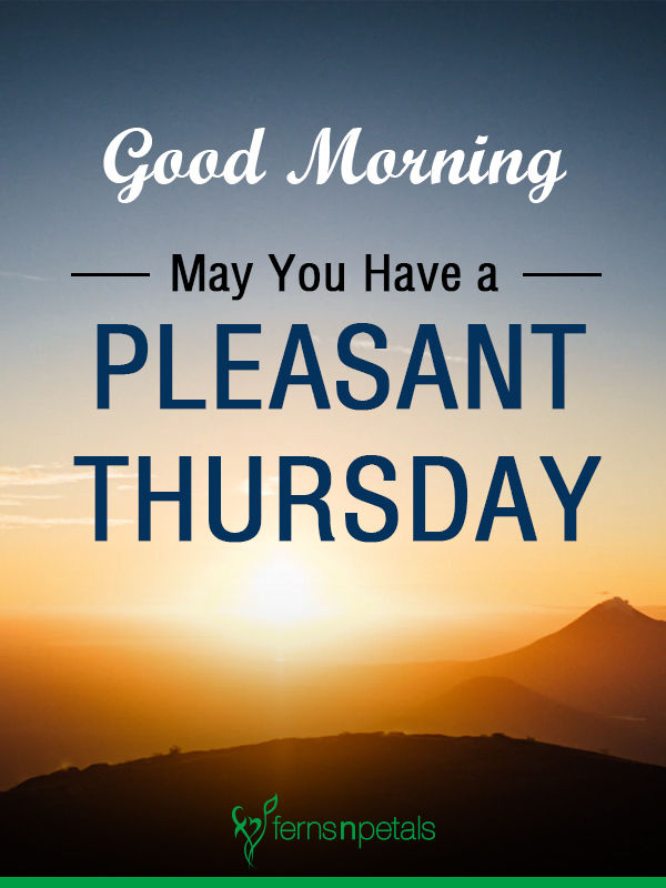 30+ Good Morning Quotes, Wishes, Messages Images 2019 - Ferns N Petals