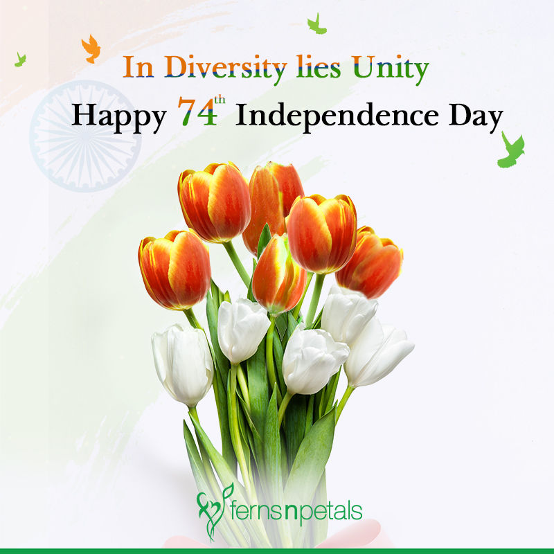 30+ Happy Independence Day Quotes, Wishes, Messages and Greetings ...
