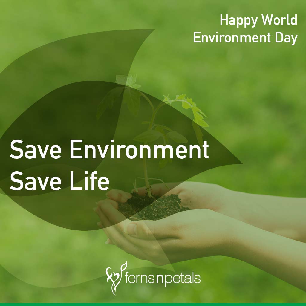 80+ World Environment Day Wishes: Quotes & Images - FNP