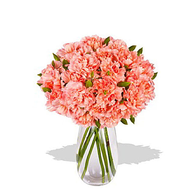 Pink Carnation australia | Gift Pink Carnation- FNP