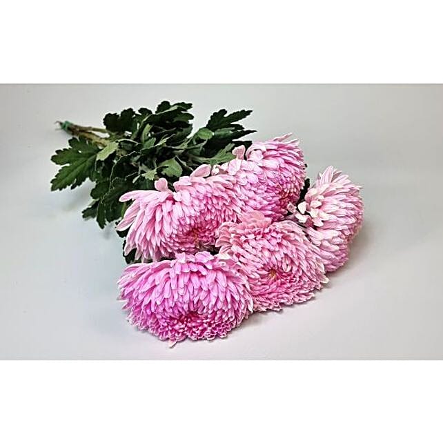Gracious Pink Disbuds Bouquet australia | Gift Gracious Pink Disbuds ...