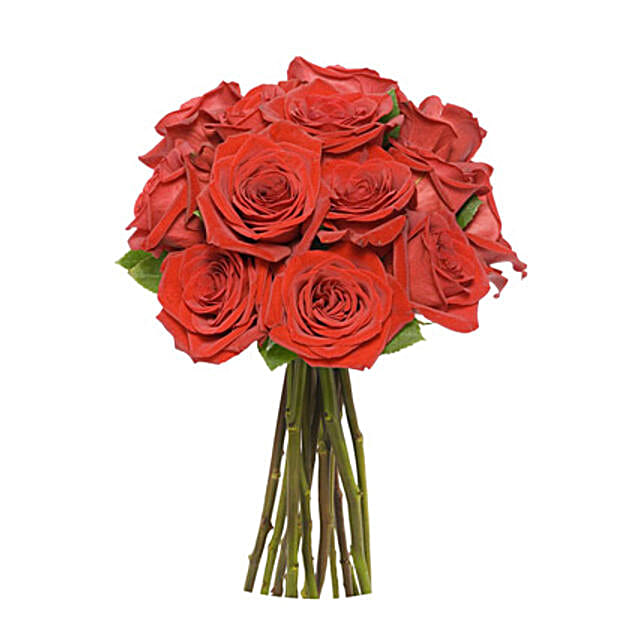 18 Red Roses canada | Gift 18 Red Roses- FNP