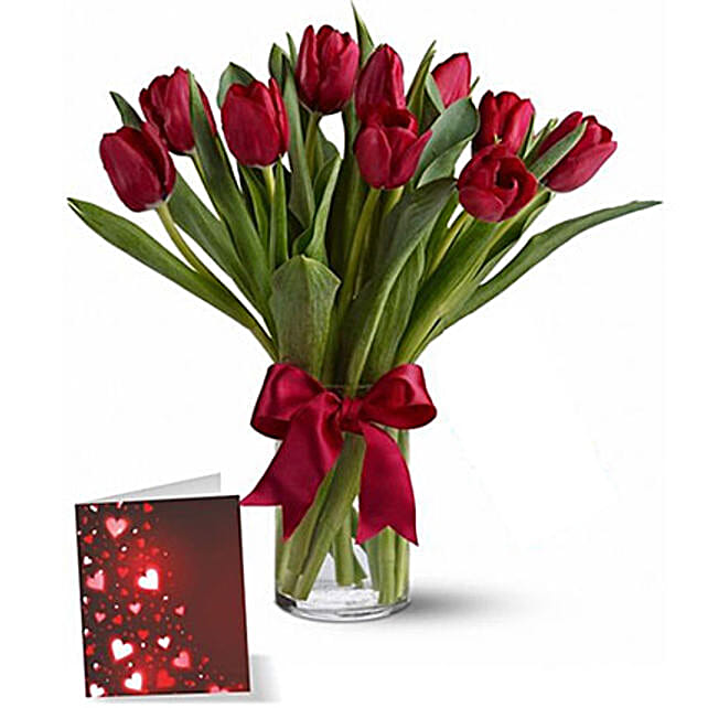 Fresh Tulips Combo canada | Gift Fresh Tulips Combo- FNP