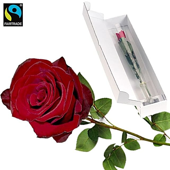 Long Stemmed Red Rose In Elegant Box germany | Gift Long Stemmed Red ...