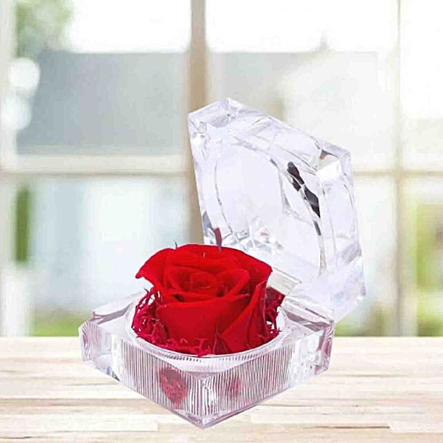 Preserved Red Rose Crystal Box indonesia | Gift Preserved Red Rose ...