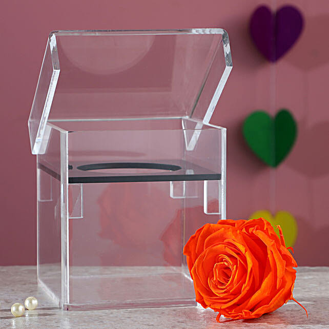 Orange Forever Rose Enclosed In Acrylic Box ireland | Gift Orange ...