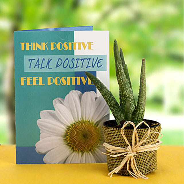 Buy/Send Affirmatively Around Online- FNP