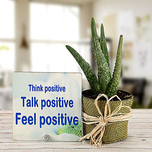 Buy/Send Be Positive Online- FNP