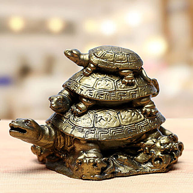 Buy/Send Lucky Tortoise Online- FNP