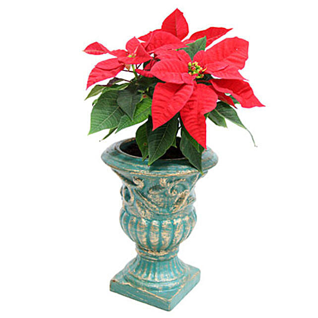 Buy/Send Season of Lobster Flower Online- FNP