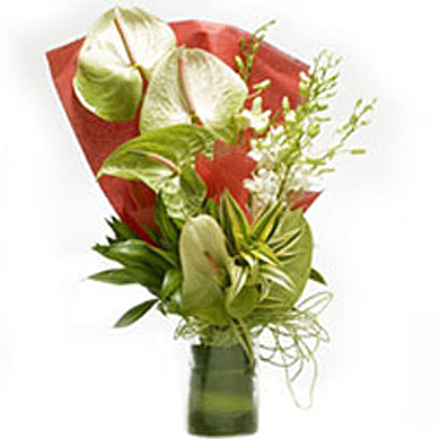 Buy/Send Feminine Flowers by FNP Online- FNP