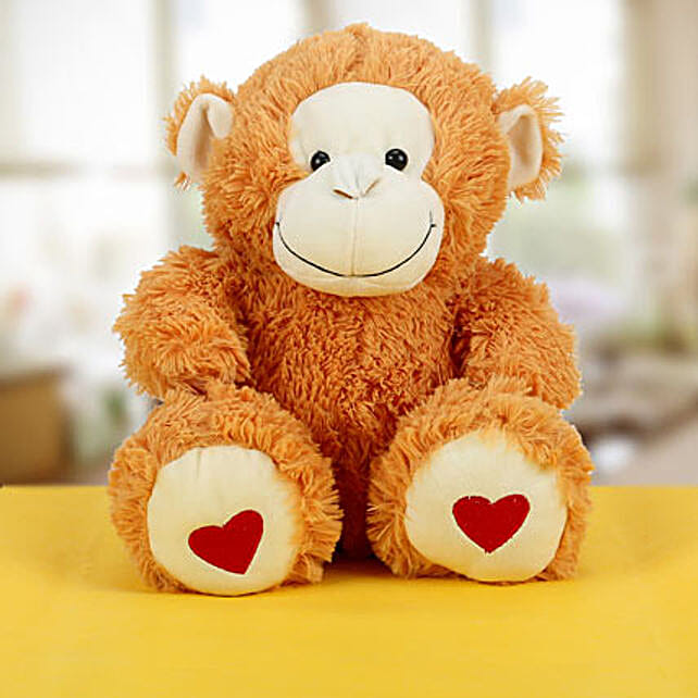 Buy/Send Cuddlesome Monkey Online- FNP