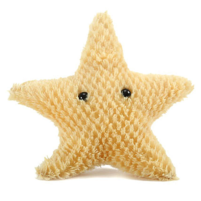 Buy/Send Exotic Cuddling Starfish Online- FNP
