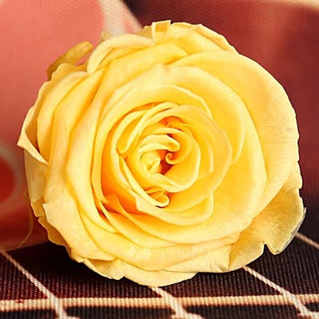 Buy/Send Forever Yellow Rose Online- FNP