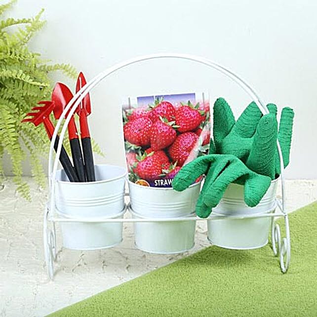 Buy/Send Gardening Tool Hamper Online- FNP