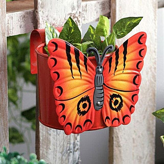 Buy/Send Red Butterfly Planter Online- FNP