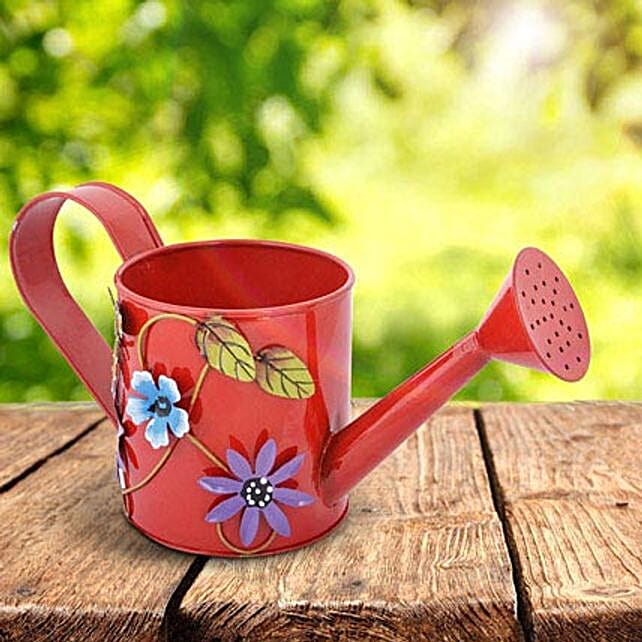 Buy/Send Red Water cane Online- FNP