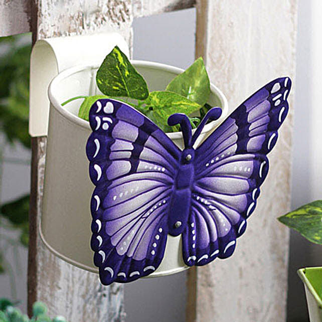 Buy/Send White Butterfly Planter Online- FNP