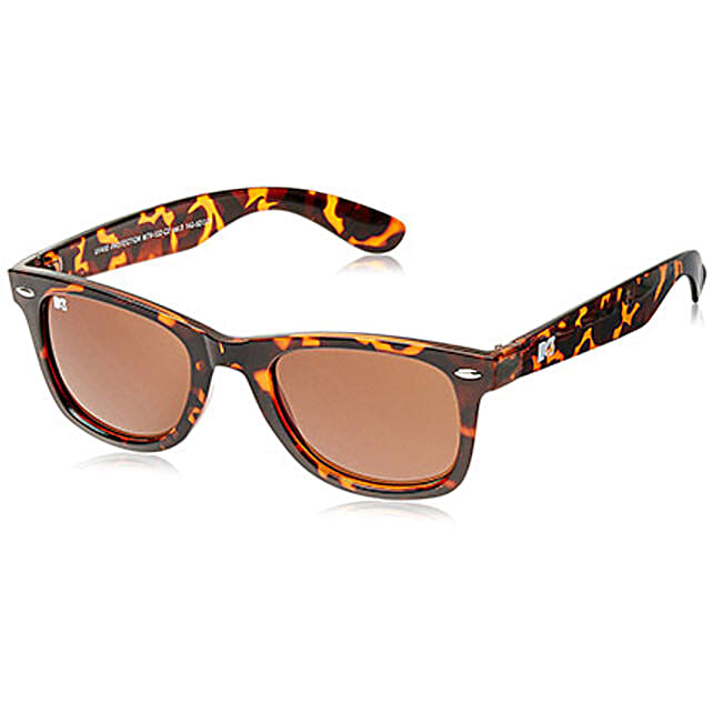 Buy/Send MTV Brown Full Rim Wayfarer Online- FNP