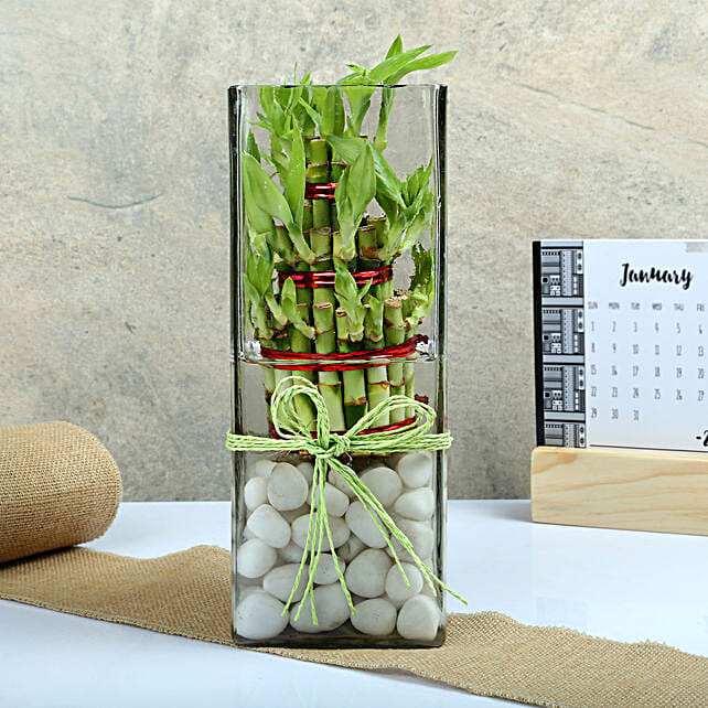 Buy/Send Exquisite Three Layer Bamboo Terrarium Online- FNP