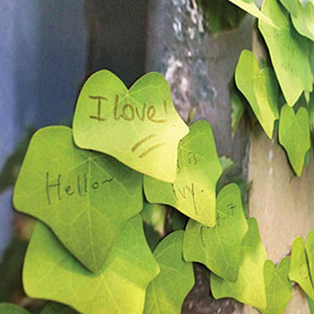 Buy/Send Maple Leaf Sticky Note Post It Set Online- FNP