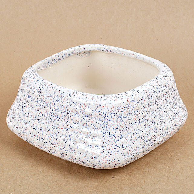 Buy/Send Ceramic Square Shaped Vase Mosaic White Online- FNP