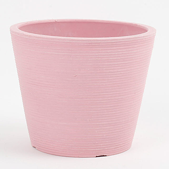 Buy/Send Mini Conical Recycled Plastic Vase Pink Online- FNP