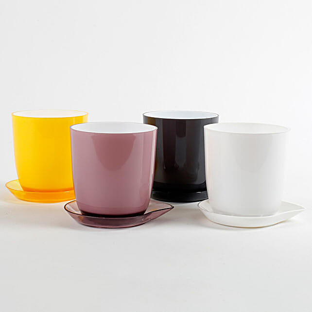 Buy/Send Combo of 4 Melamine Cup & Saucer Vases Online- FNP
