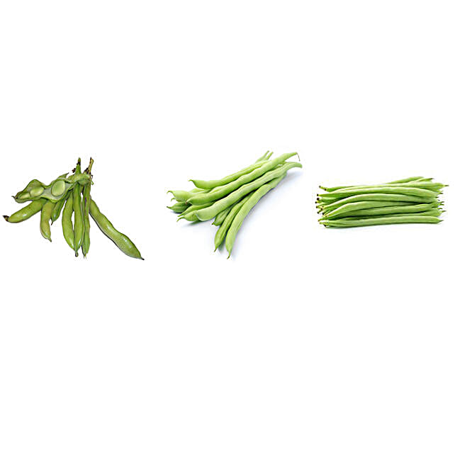 Buy/Send Fava Beans Bakla Frandce Beans & Pencil Beans Seeds Combo ...