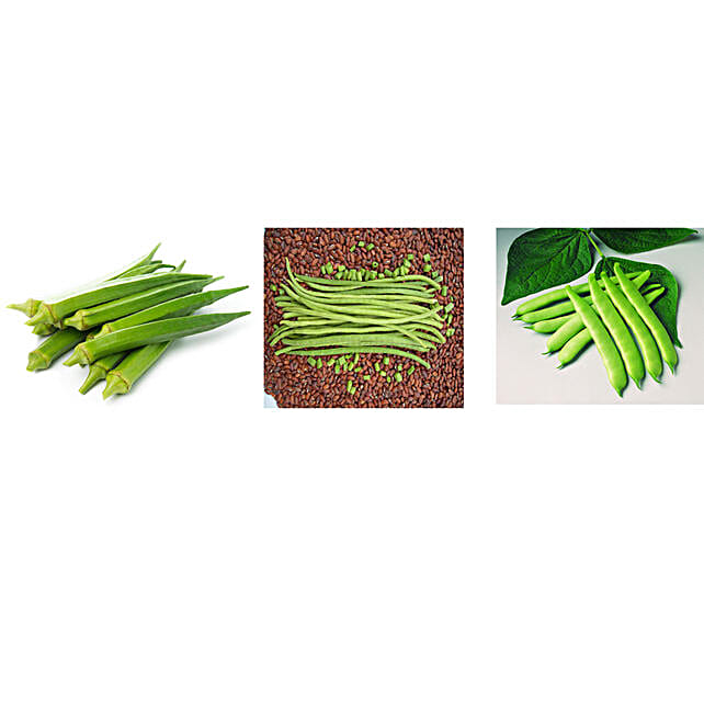 Buy/Send Okra Bhindi Lobia Cow Pea & Pole Beans Seeds Combo Online- FNP