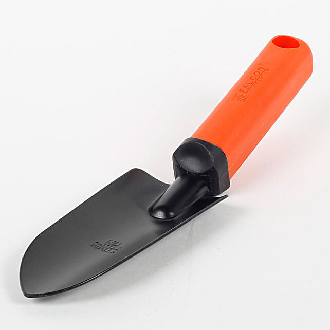 Buy/Send Hand Digging Steel Trowel Large Online- FNP