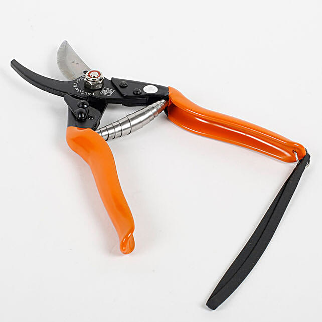 Buy/Send Major Steel Secateurs Online- FNP