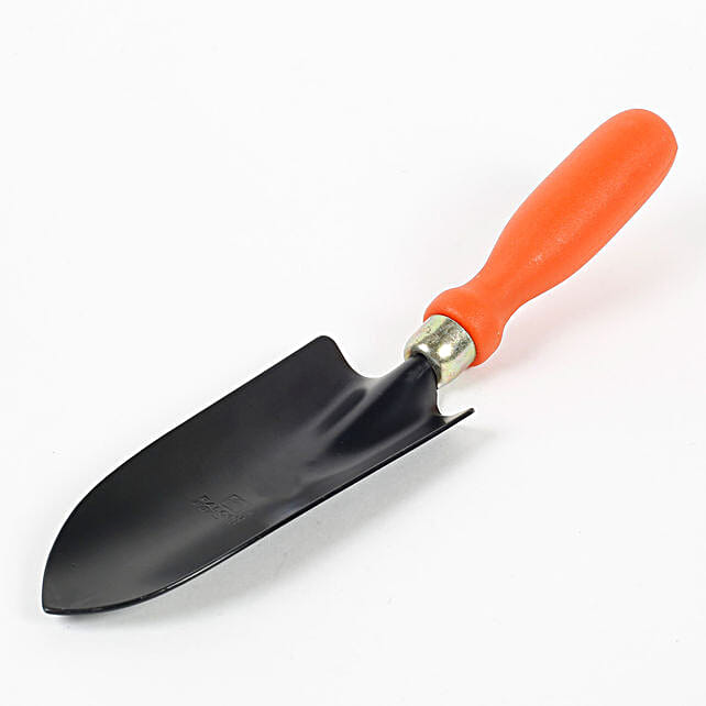 Buy/Send Steel Hand Digging Trowel Online- FNP