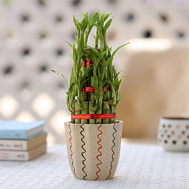 Buy/Send 3 Layer Bamboo In Abstract Pattern Ceramic Pot Online- FNP