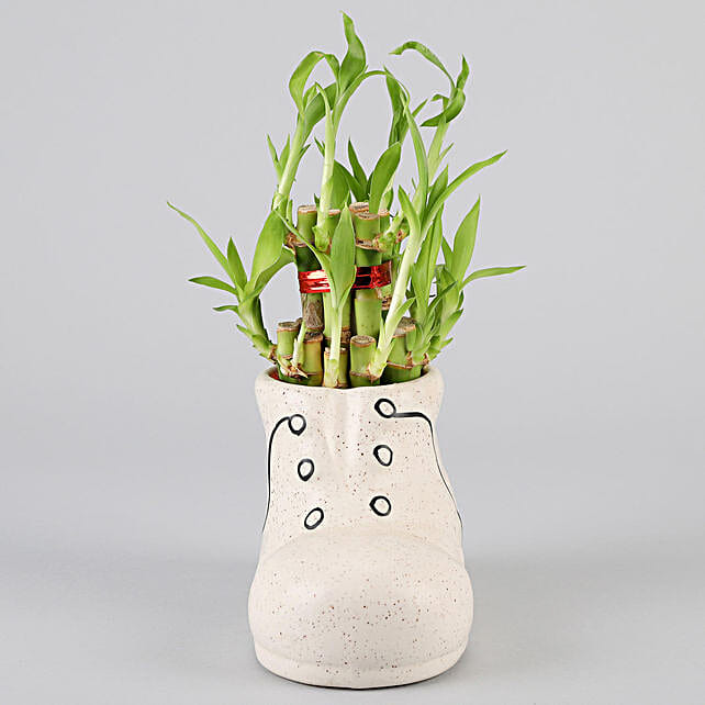 Buy/Send 3 Layer Bamboo In Shoe Shaped Ceramic Pot Online- FNP