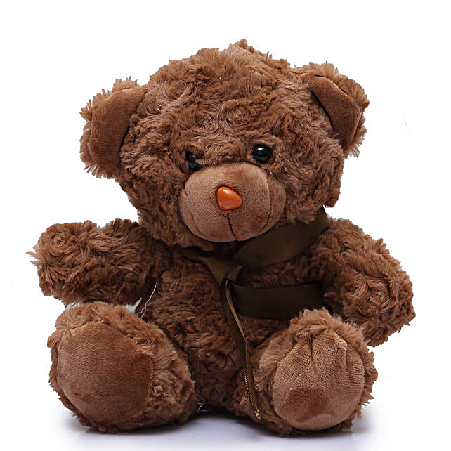 Buy/Send Huggable Furry Teddy Bear Online- FNP