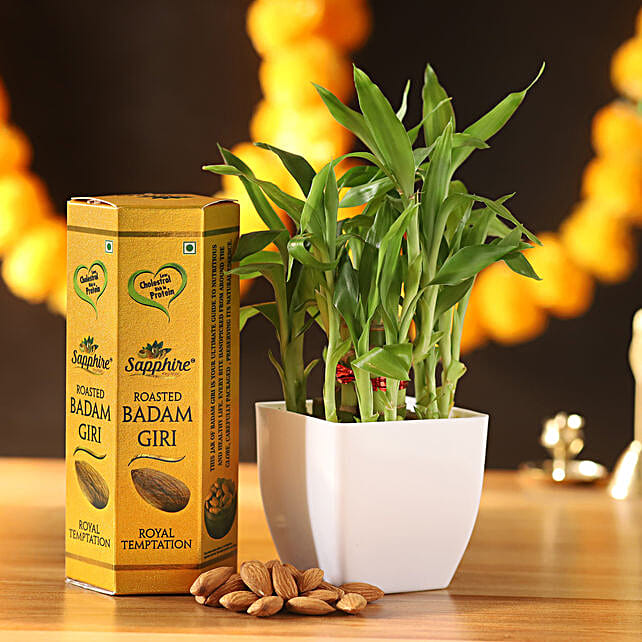 Buy/Send 2 Layer Lucky Bamboo & Roasted Badam Online- FNP