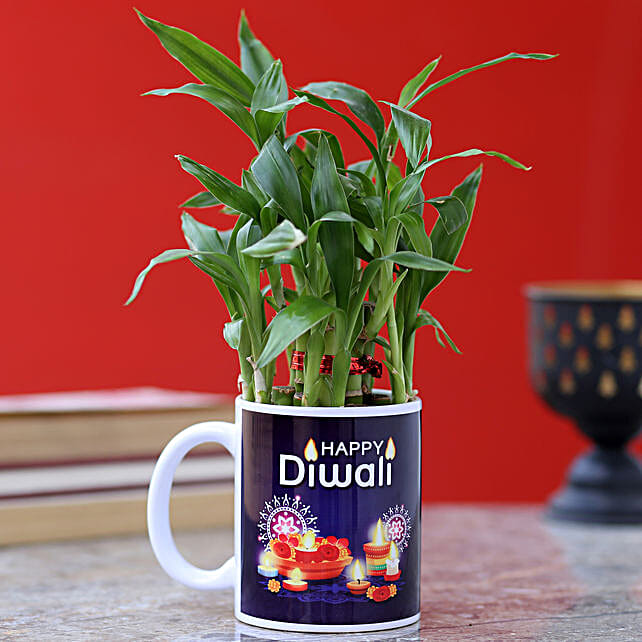 Buy/Send Diwali Wishes Two Layer Bamboo Plant Online- FNP