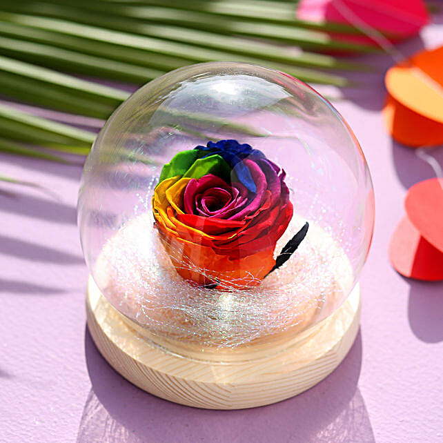 Buy/Send Magical Forever Rainbow Rose Online- FNP