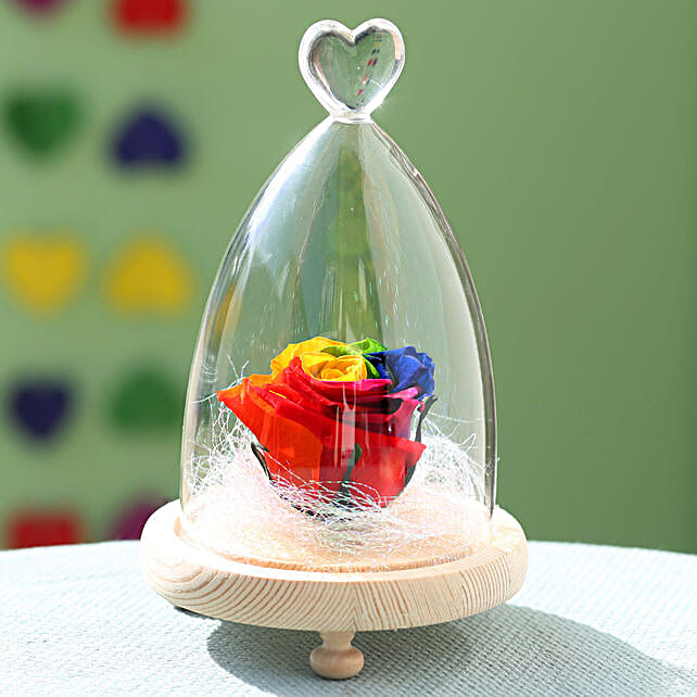 Buy/Send Rainbow Forever Rose Love Online- FNP