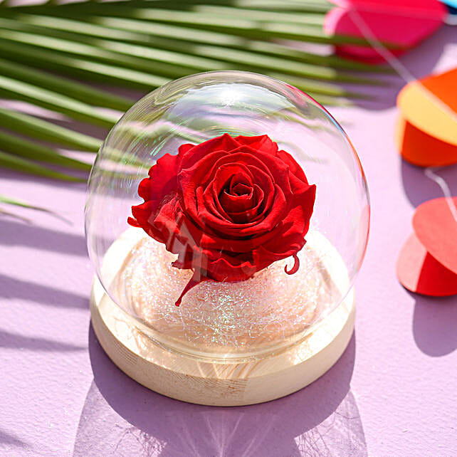 Buy/Send Romantic Red Forever Rose Online- FNP