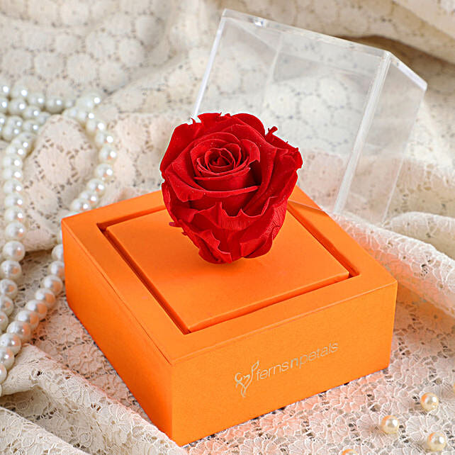 Buy/Send Red Forever Rose In Orange Box Online- FNP