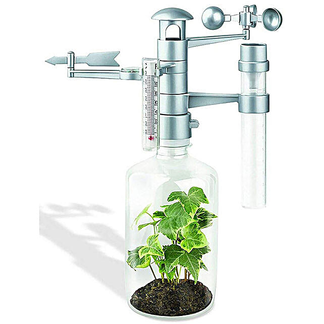 Buy/Send Educational Weather Station Science Kit Online- FNP