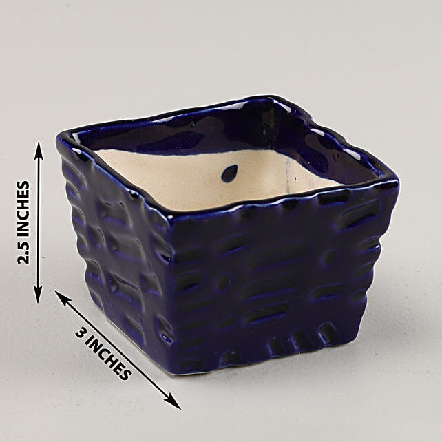 Buy/Send Square Ceramic Blue Planter Online- FNP