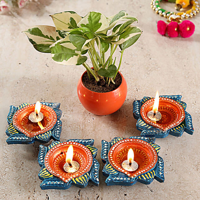 Buy/Send White Pothos Plant & Blue Hand Painted Diyas Online- FNP