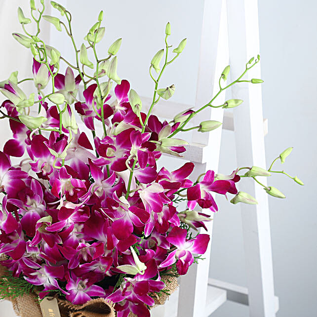 Buy/Send Romantic Purple Orchids Bunch Online- Ferns N Petals