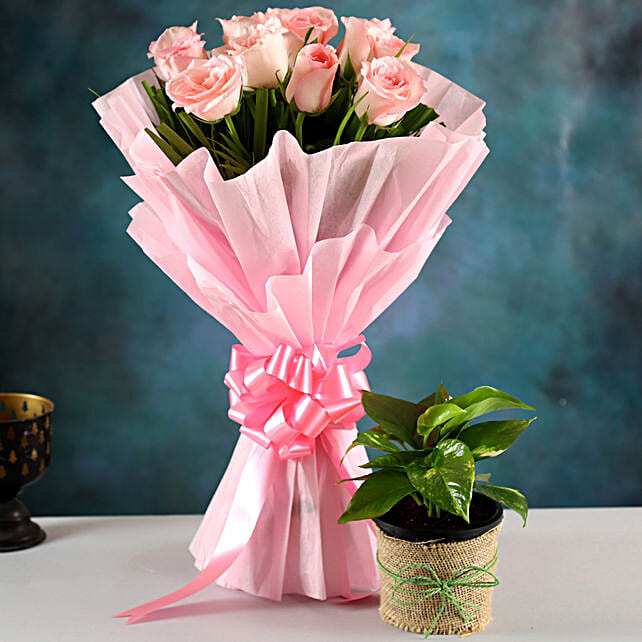Buy/Send Money Plant & Pink Rose Bouquet Online- FNP